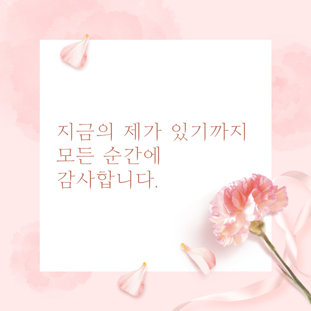 어버이날 문구 무료 이미지 5종 감동 메시지 카드