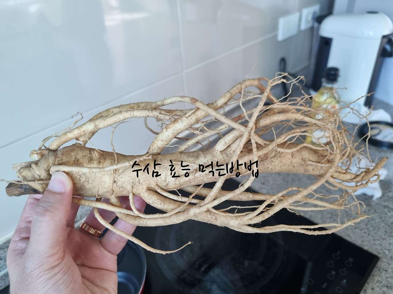 수삼 효능 먹는방법