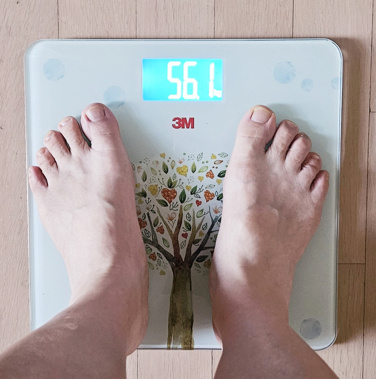 감로수 디톡스 다이어트 24일차