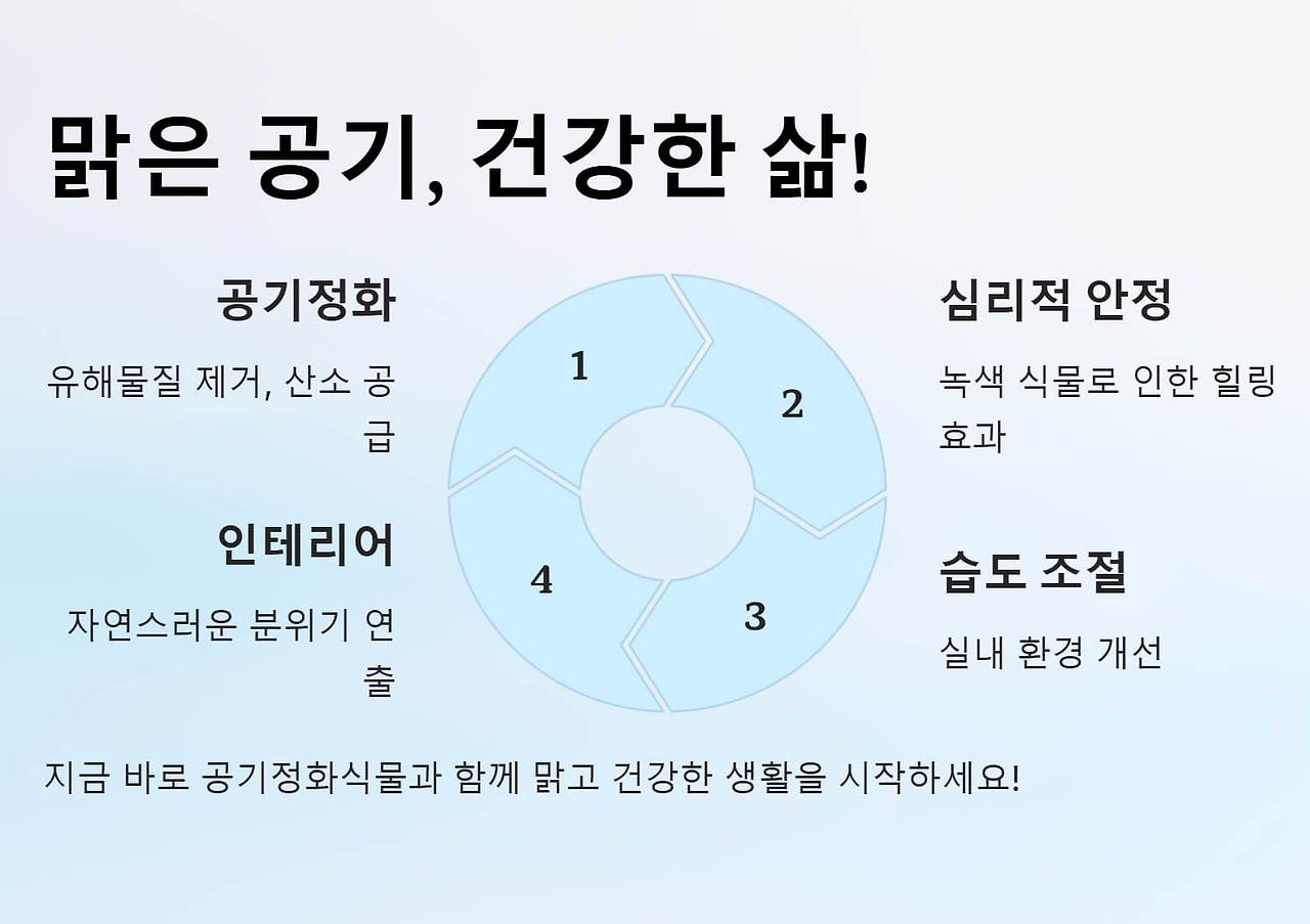 실내 공기정화식물 추천 Top 7 나사 추천 식물 키우기 쉬운 식물