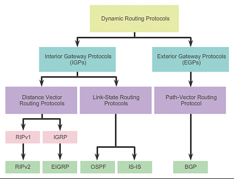 Network Routing Protocol 비교 (IGP, EGP)