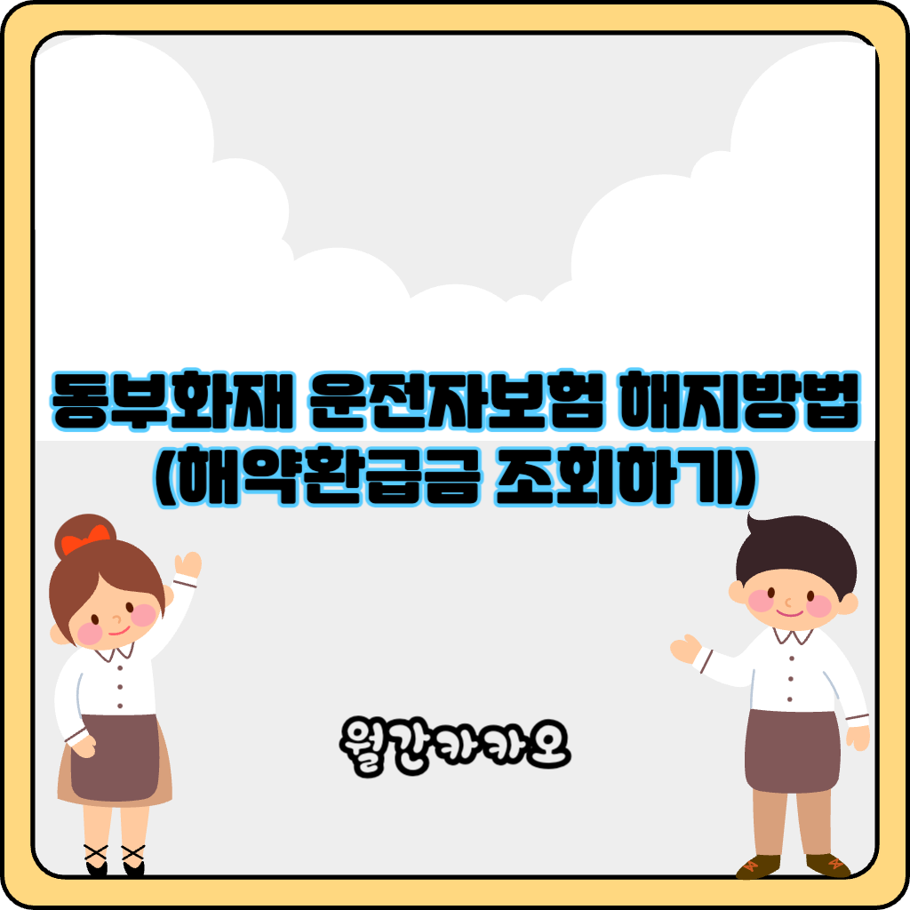 동부화재db 운전자보험 해지신청해약환급금 조회하기 카카오메거진금융