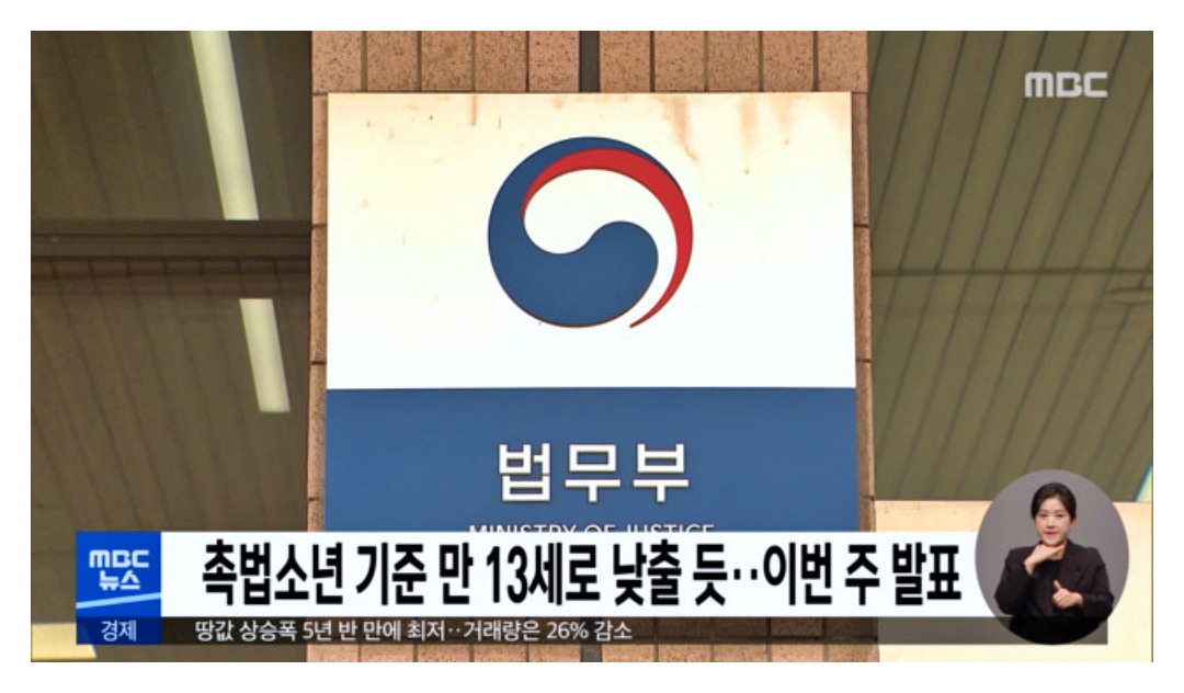 촉법소년 나이 및 연령하향 폐지 찬성과 반대사례