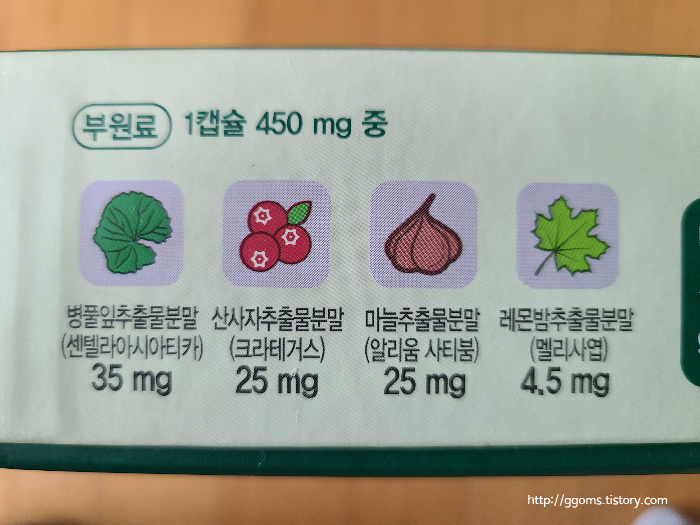 일양 징코 큐텐 비플러스 혈행개선제 코엔자임q10 혈액순환 영양제 씽씽 라이프