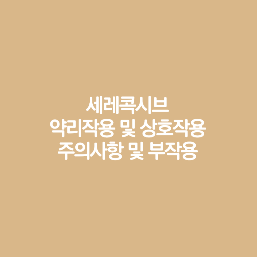 세레콕시브 약리작용 및 상호작용 주의사항 및 부작용