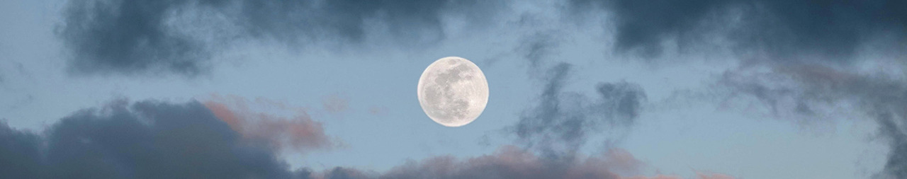 진정한 희망 Genuine Hope