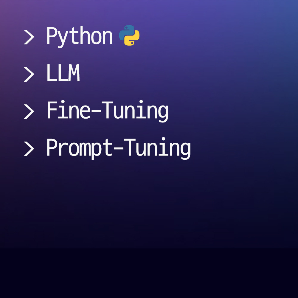 [LLM] AI 모델 최적화 방법 Fine-Tuning과 Prompt-Tuning — Bible, Lee, Data