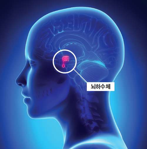 졸리고 피곤하다면 꼭 이렇게 해보세요” 누르기만 해도 30초 만에 코가 뚫리고 정신이 맑아지는 지압 방법 사건의 재구성