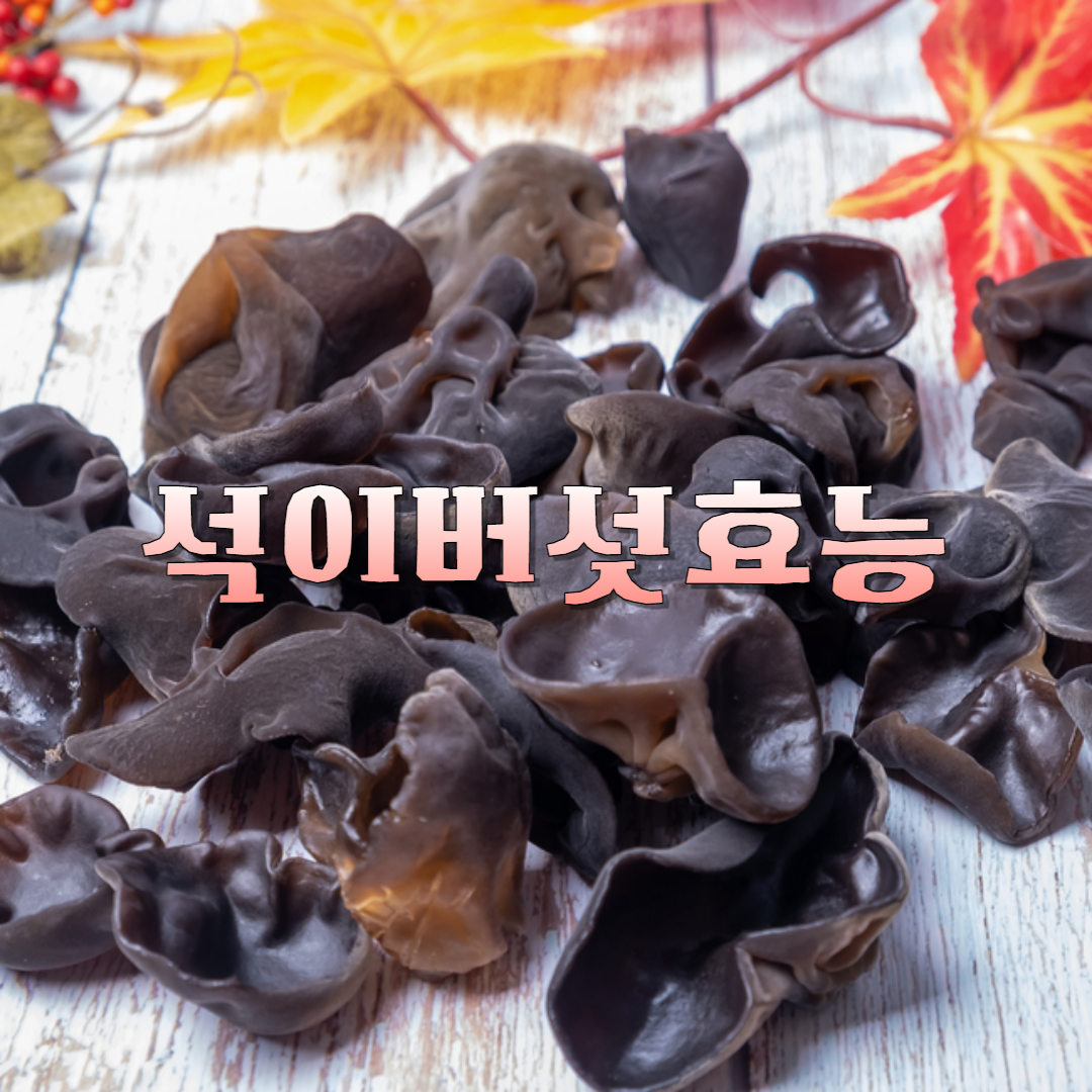 바위에서 자라는 석이버섯 효능 영양성분 손질하는 법 부작용