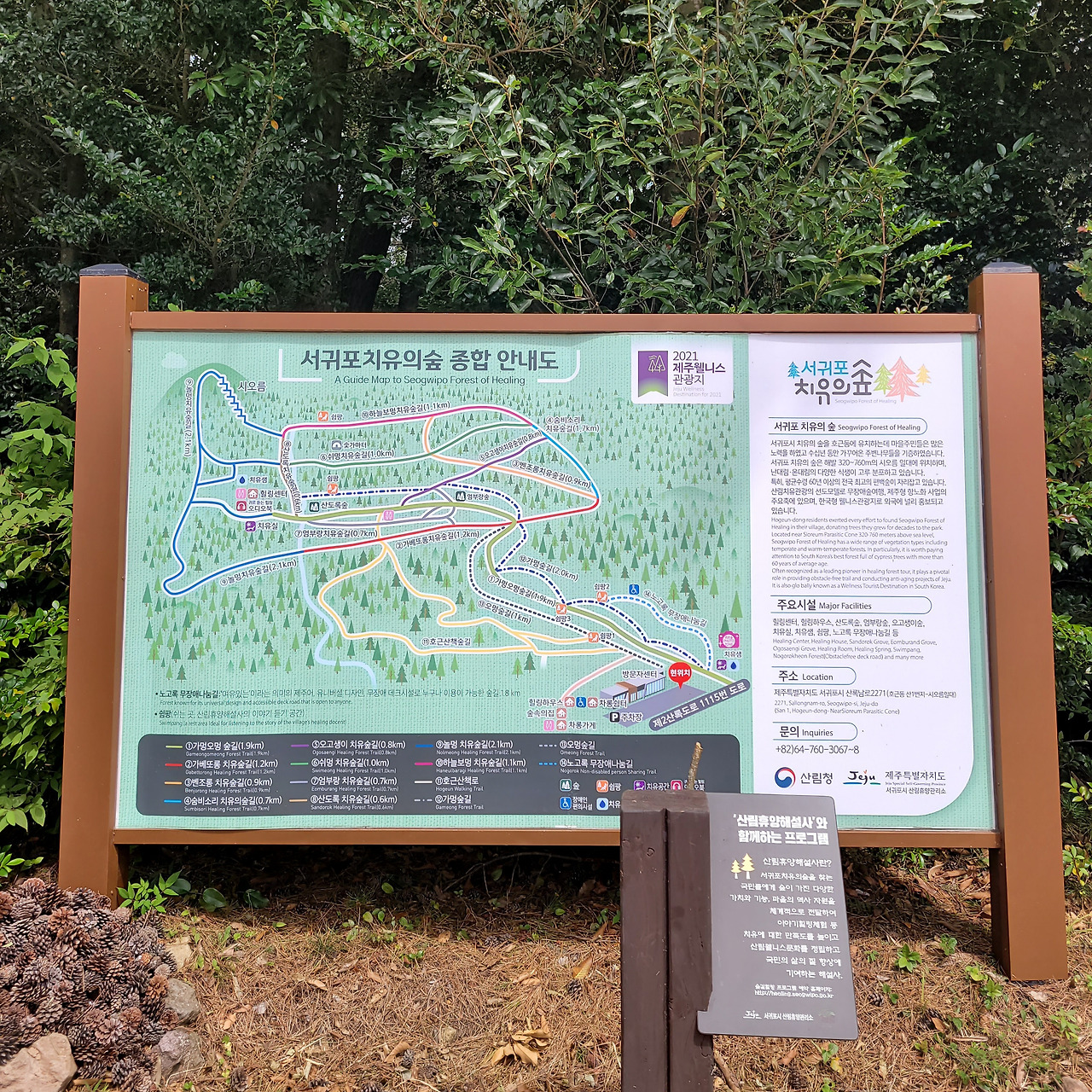제주도 서귀포시 트래킹 산책 할만한 곳 후기