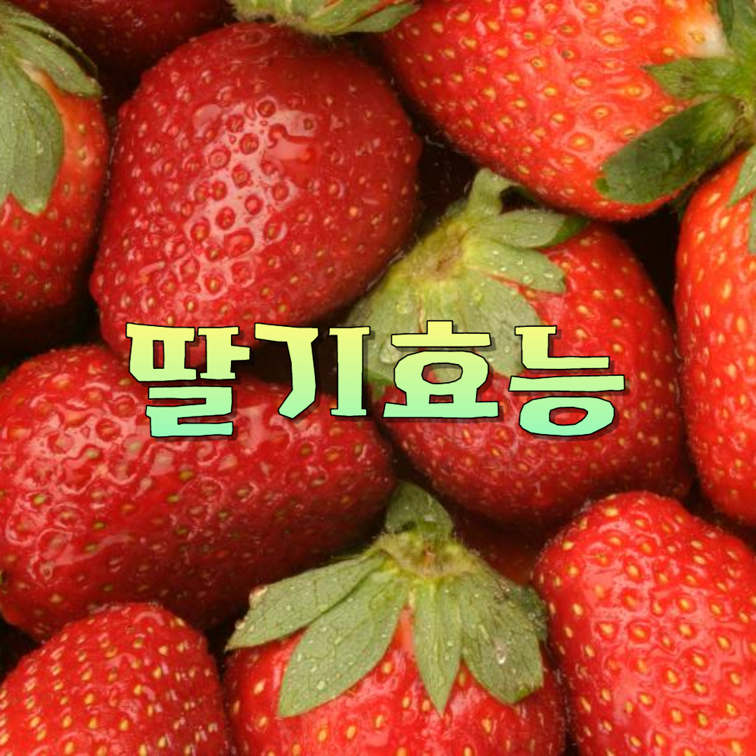 딸기 효능 영양성분 고르는법 부작용