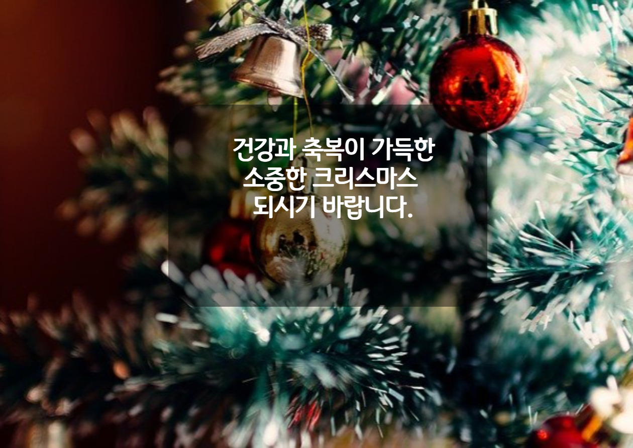 성탄절 이미지 그림 사진 모음 (메리 크리스마스 뜻)