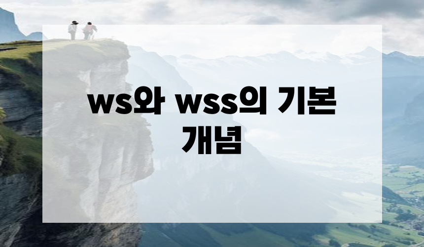 ws와 wss 차이점 알아보기 - 빠르게 보여준다