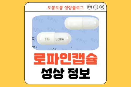 로파인캡슐 설사 약 복용법 부작용 가격 및 구매 정보
