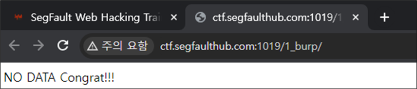 [SegFault] (Burp) - Burp Suite Prac 1.