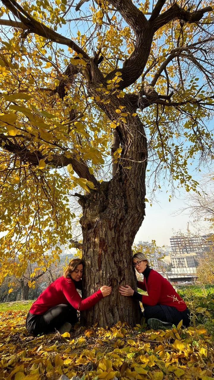 Farzaneh Soleimani Neisyani & Shahrnaz Zarkesh, “Silent Roots”, Trees ...