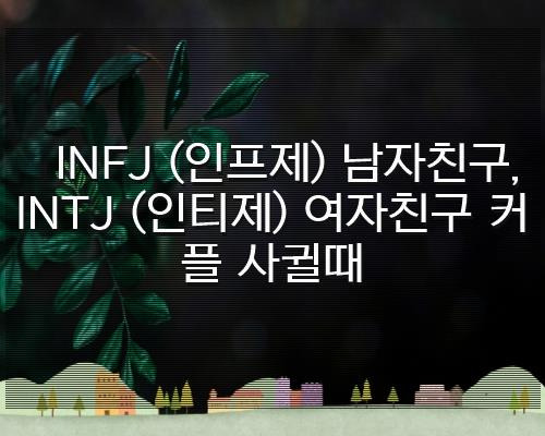 Infj 인프제 남자친구 Intj 인티제 여자친구 커플 사귈때