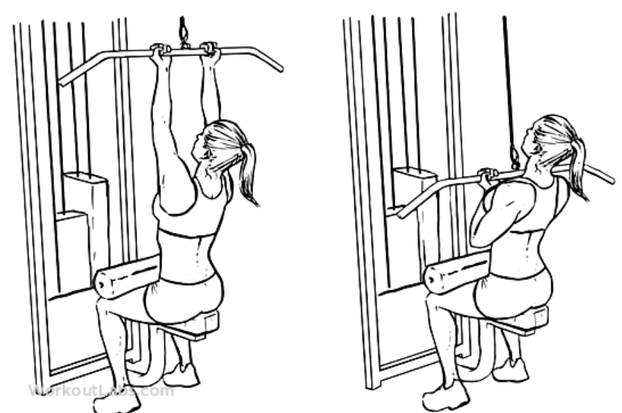 3 리버스 그립 랫 풀 다운 Reverse Grip Rat Pull Down