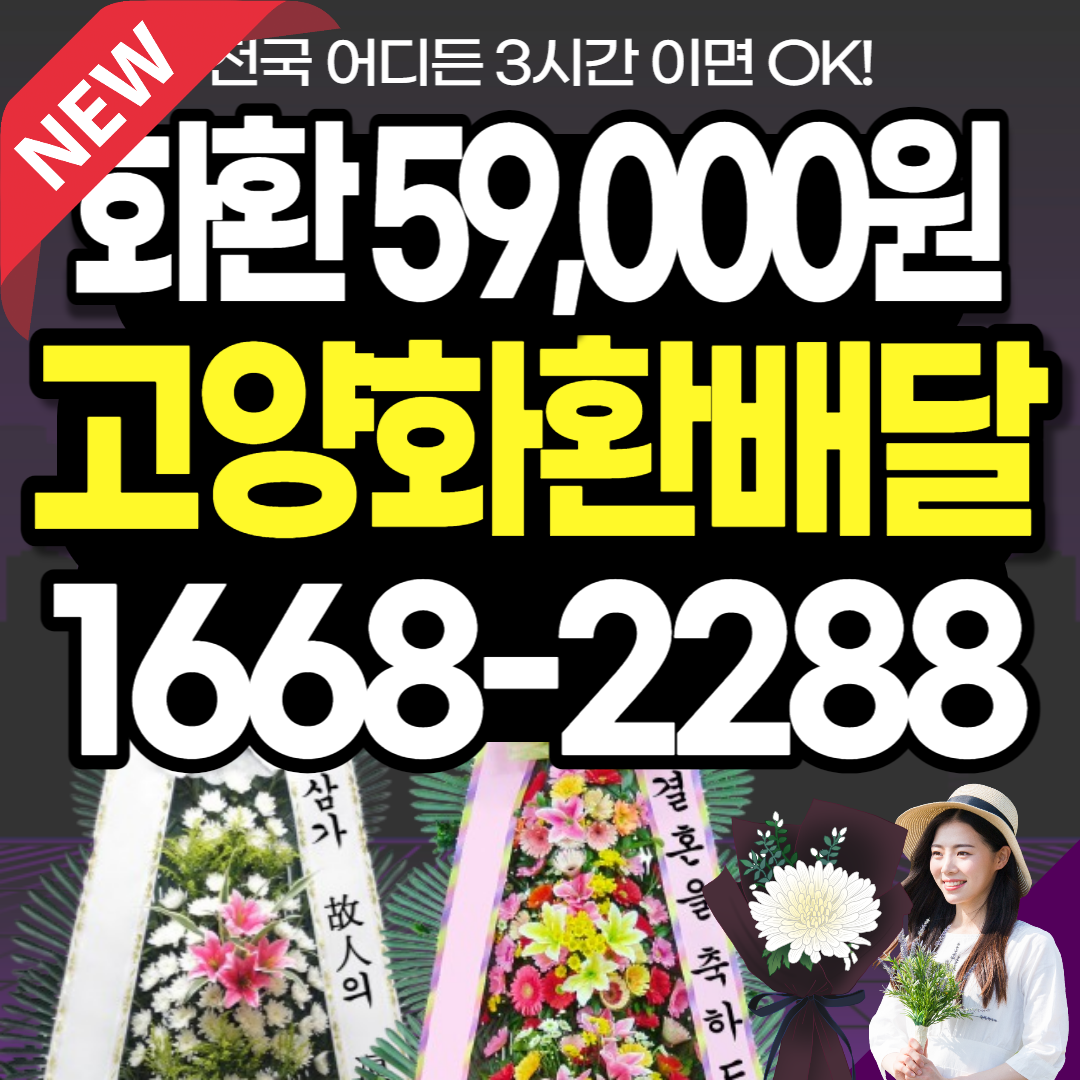 일산백병원 장례식장 근조화환 전문점