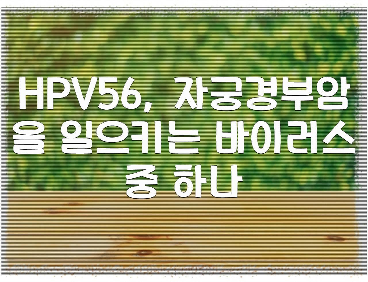 HPV56, 자궁경부암을 일으키는 바이러스 중 하나