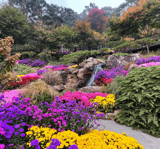 청남대 예약접수 및 입장료 알아보기