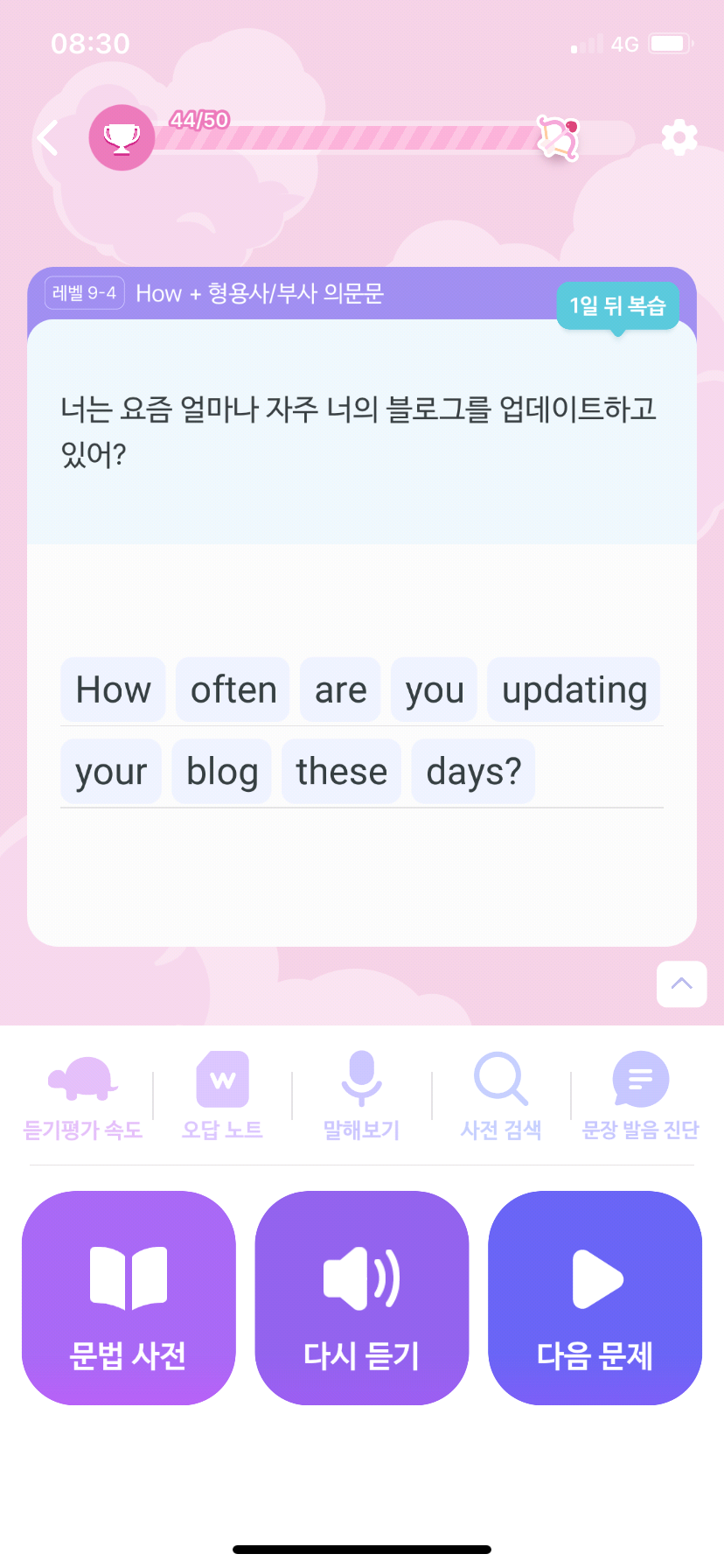 아일랜드 더블린 일상 44일차 쭈말