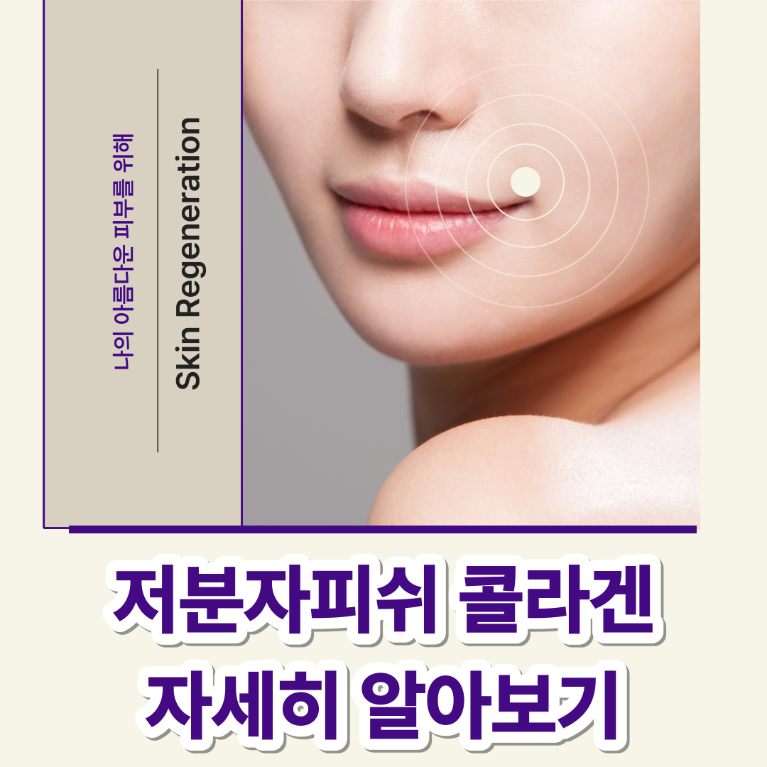 저분자피쉬콜라겐 펩타이드 효능 및 복용방법 영양제 추천 디지털 노마드의 일상기록