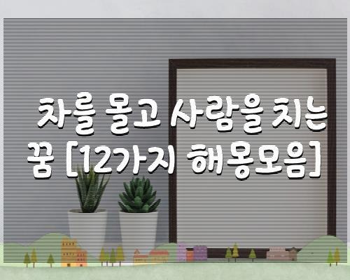 차를 몰고 사람을 치는 꿈 12가지 해몽모음