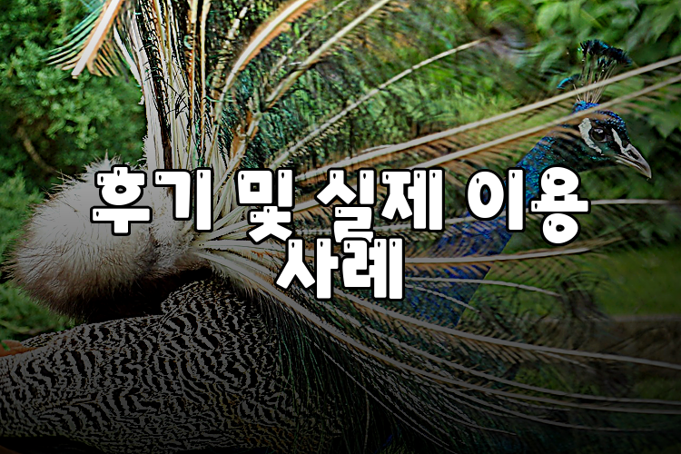 밀리언캐쉬대부 대출 정보와 신청 방법 후기까지 총정리