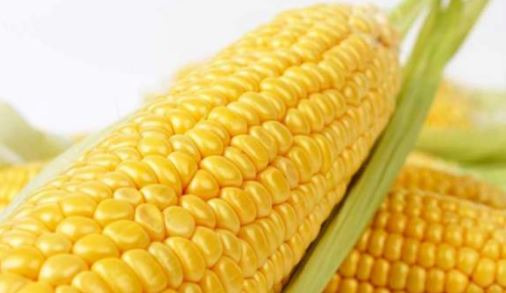 corn efficacy and side effects
