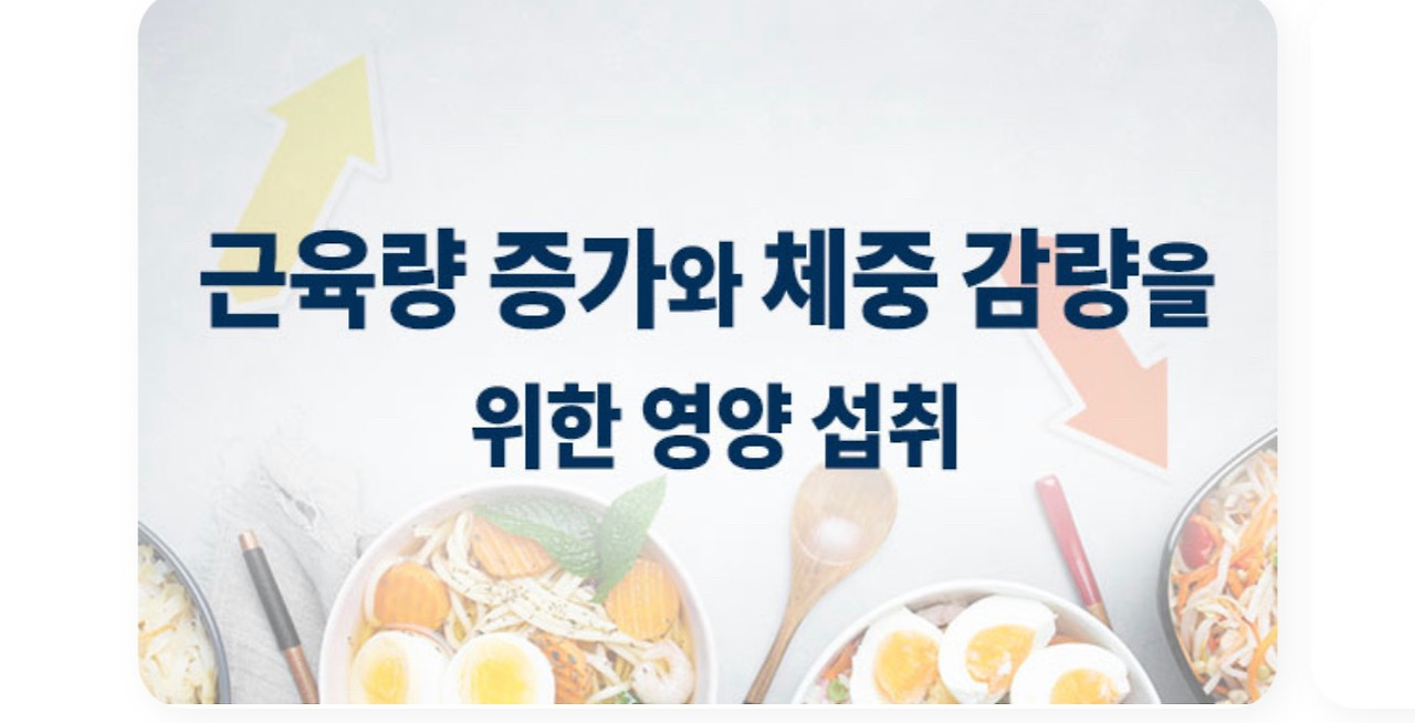 다이어트 운동 전 후 영양 섭취 식단 근육량 증가와 체중 감량을 위한 영양 섭취