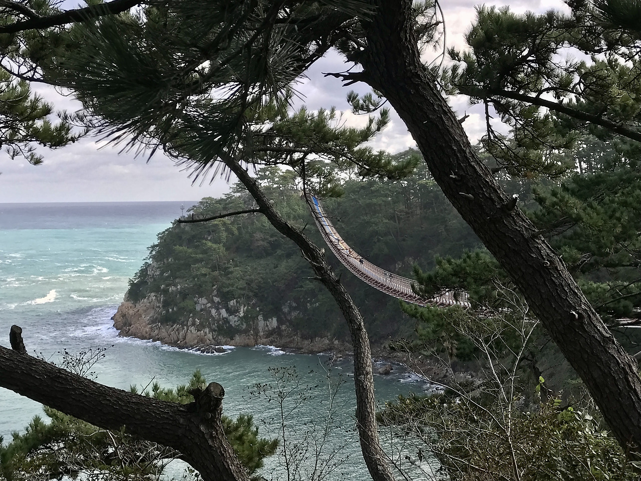 문무왕비의 전설이 깃든 울산 대왕암과 출렁다리