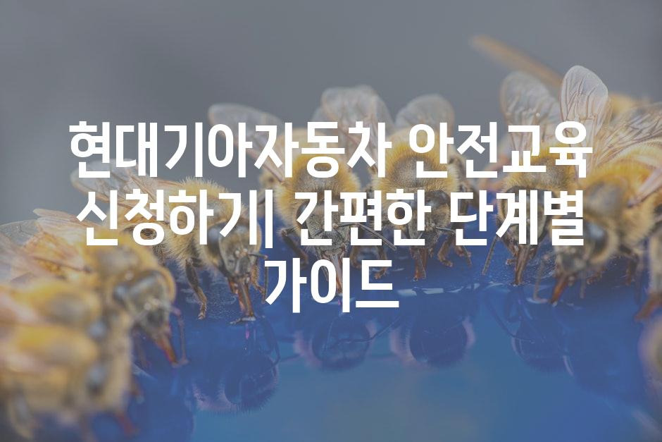현대기아자동차 안전교육 신청하기 간편한 단계별 가이드