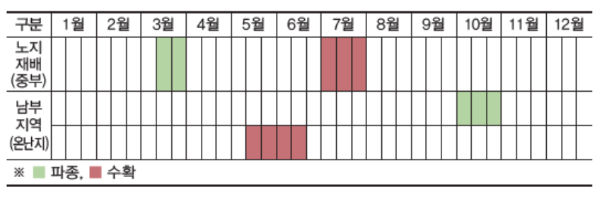 남부 중부지방 완두콩 심는 시기 효능 파종 방법 재배법 수확 방법 알아보기