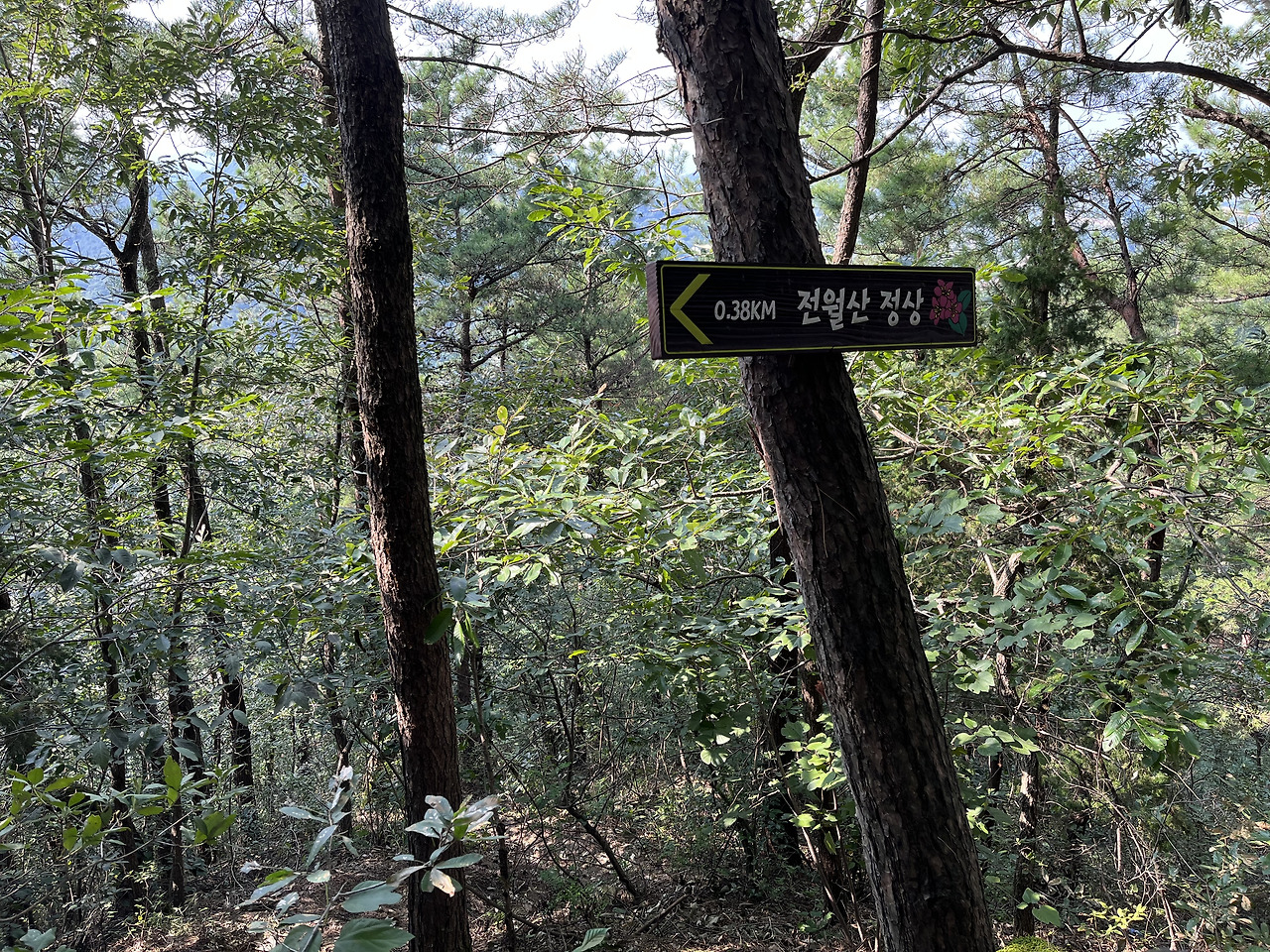 세종시 가볼만한 곳 전월산 등산 코스