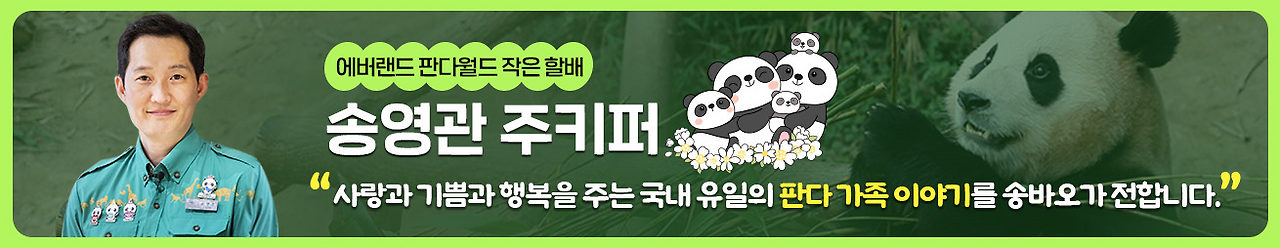 아기판다 다이어리 시즌2 40 슬기로운 도전 빛나는 시작