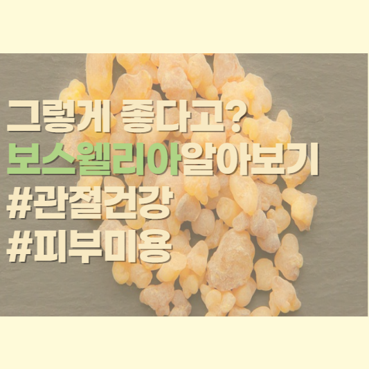 관절에 그렇게나 좋다는 보스웰리아의 효능 및 부작용