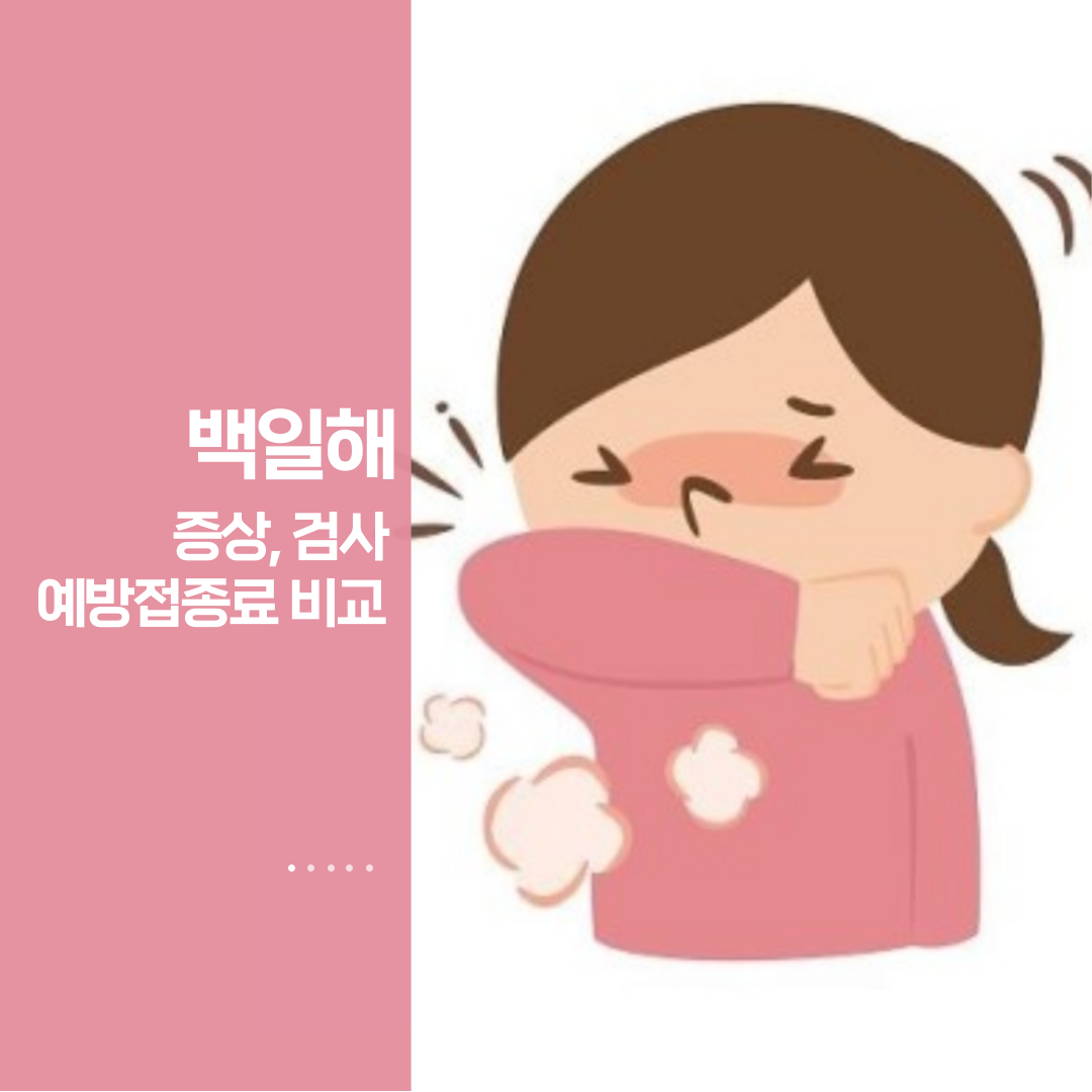 백일해 증상 검사 치료 예방접종료 가격비교