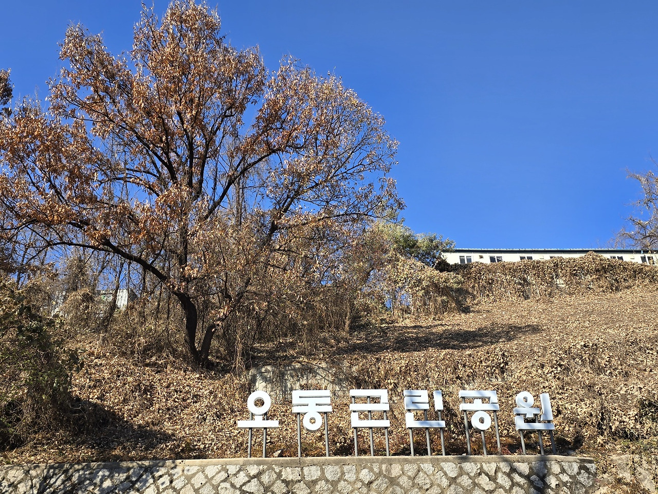 서울 성북구 산책하며 걷기 좋은곳 오동근린공원 자락길 산책 및 오동숲속도서관 책 읽기