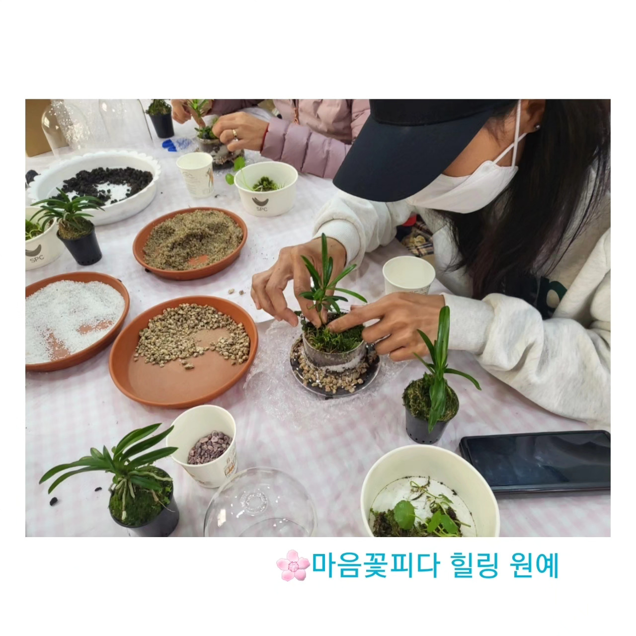마음꽃피다원예치료센터 이보영힐링원예강사 광산구가족센터 기업역량강화 보보샘 부모역량강화교육강사 식물로힐링하기 광주