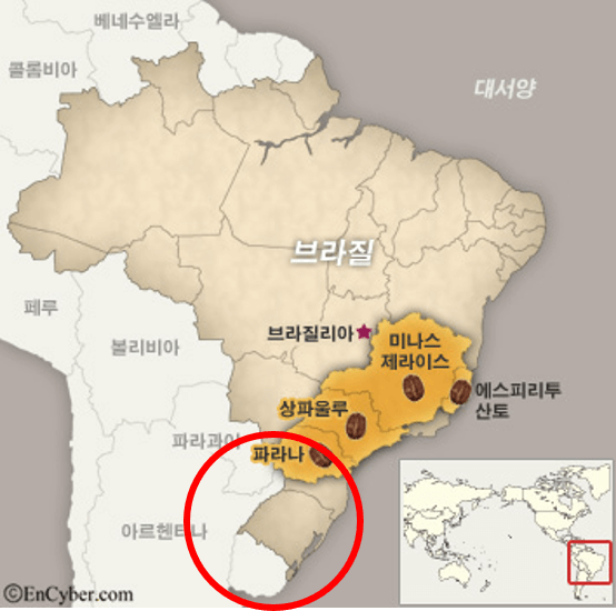 브라질 홍수 관련주 콩 가격 상승 테마주 개인적인 견해 Soms의 주식투자