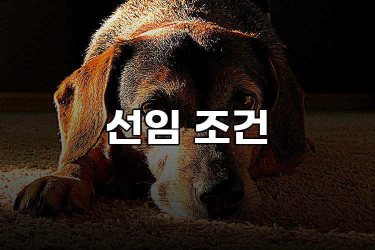 가스안전관리자 교육 신청 및 선임조건 완벽 가이드