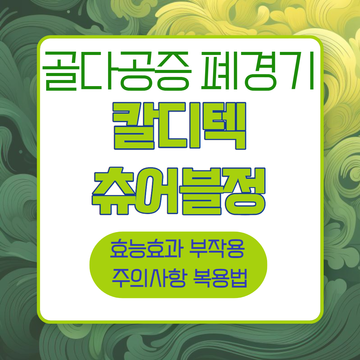 칼디텍츄어블정 부작용 효능 효과 주의사항 복용법