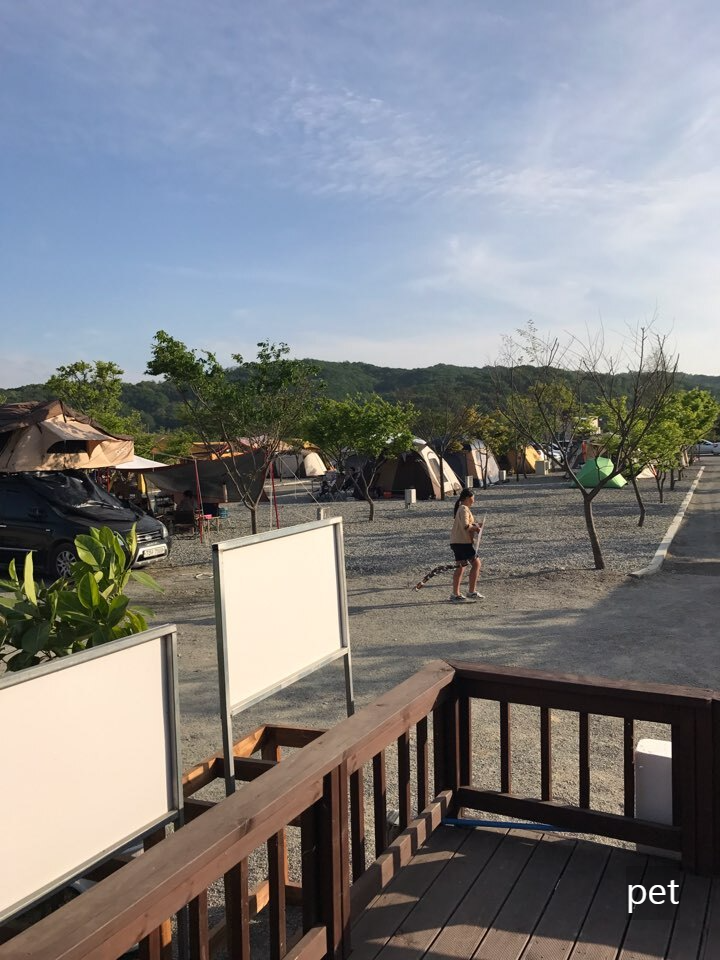 경기 연천 캠핑브릿지캠핑장 예약 방법 애견 동반 가격 주소 시간 후기 댕댕캠핑 전국 애견동반 캠핑장