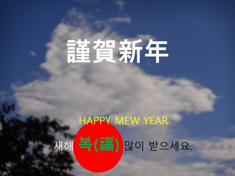 2024년 갑진년 甲辰年 청룡의 해 새해 복 많이 받으세요