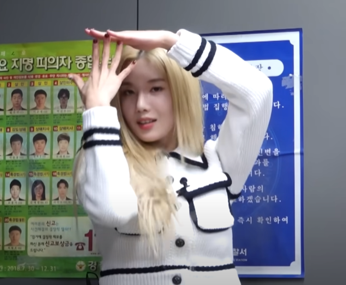 권은비 프로필 핵심요약 자기소개 나이 본명 과거