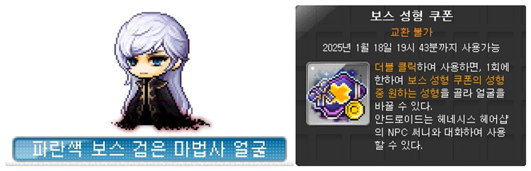 메이플스토리 검은 마법사 패키지 리뷰 보스 컬렉션 패키지