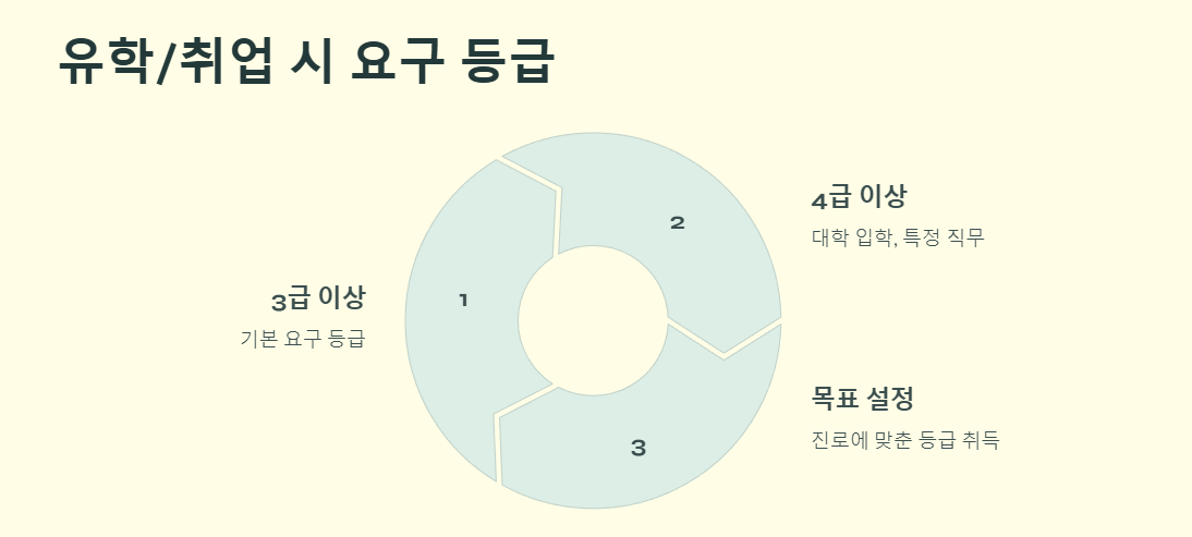 Topik 한국어능력시험 급수 등급 체계와 합격 및 취업 기준