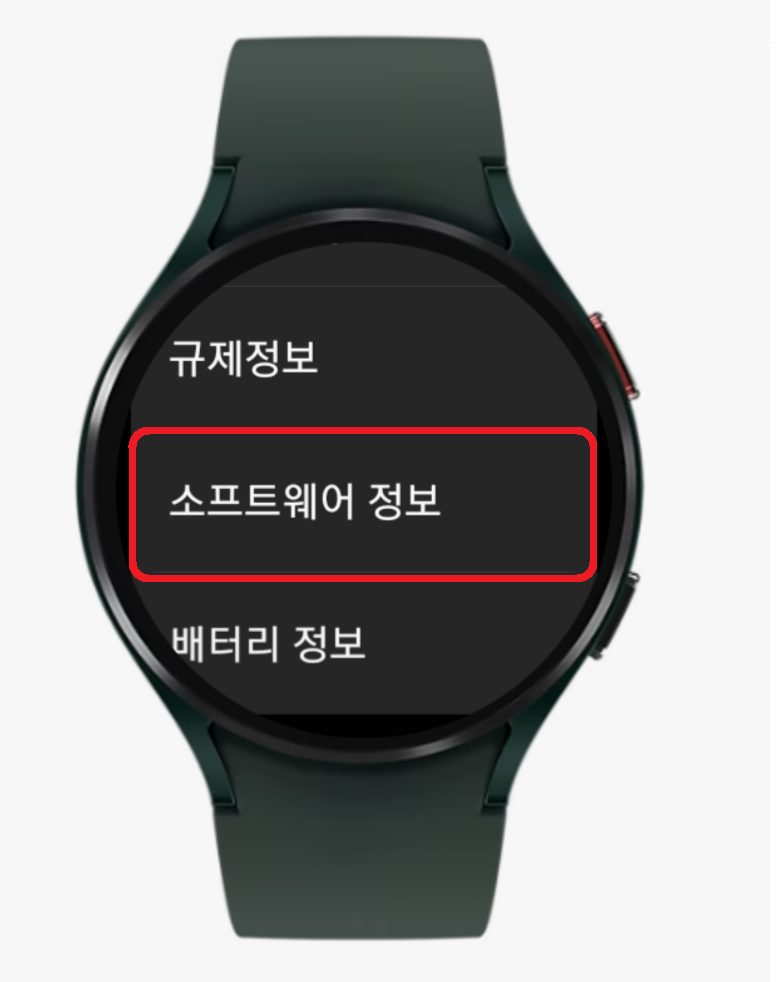갤럭시 워치 개발자 모드 활성화 방법