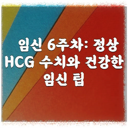 임신 6주차 정상 Hcg 수치와 건강한 임신 팁